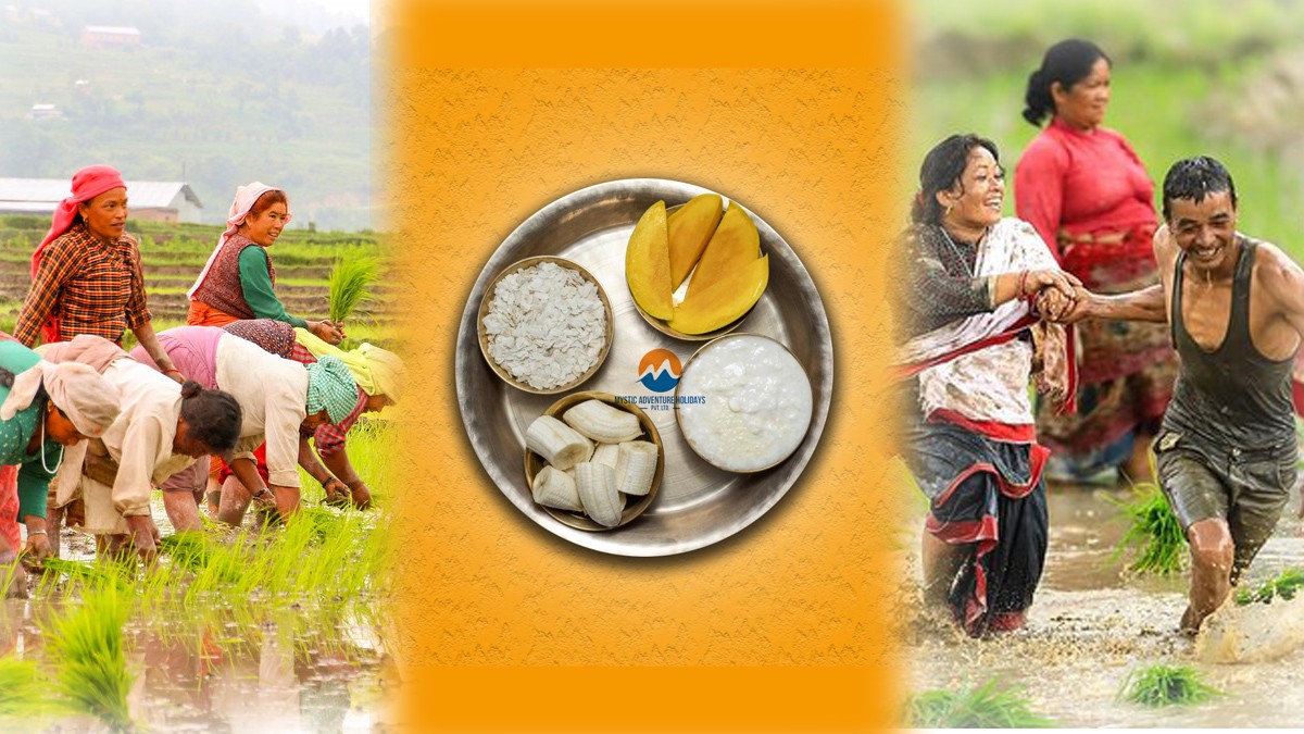 Ashar-15, National Paddy Day in Nepal